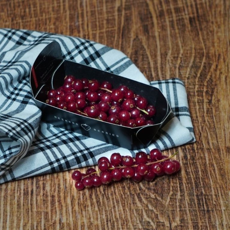 Groseilles 125g barquette Hollande - Les 5 Fermes