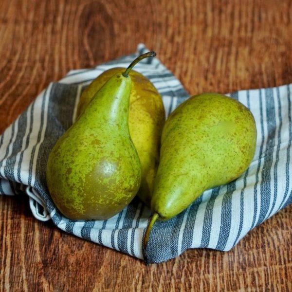 Poire conférence Hollande - Les 5 Fermes